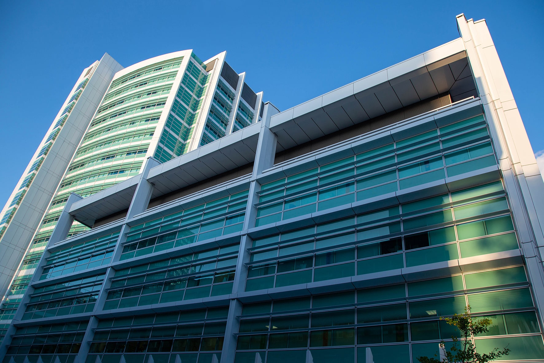 Green Impact competition brings triple gold for Mitie | FM Business ...