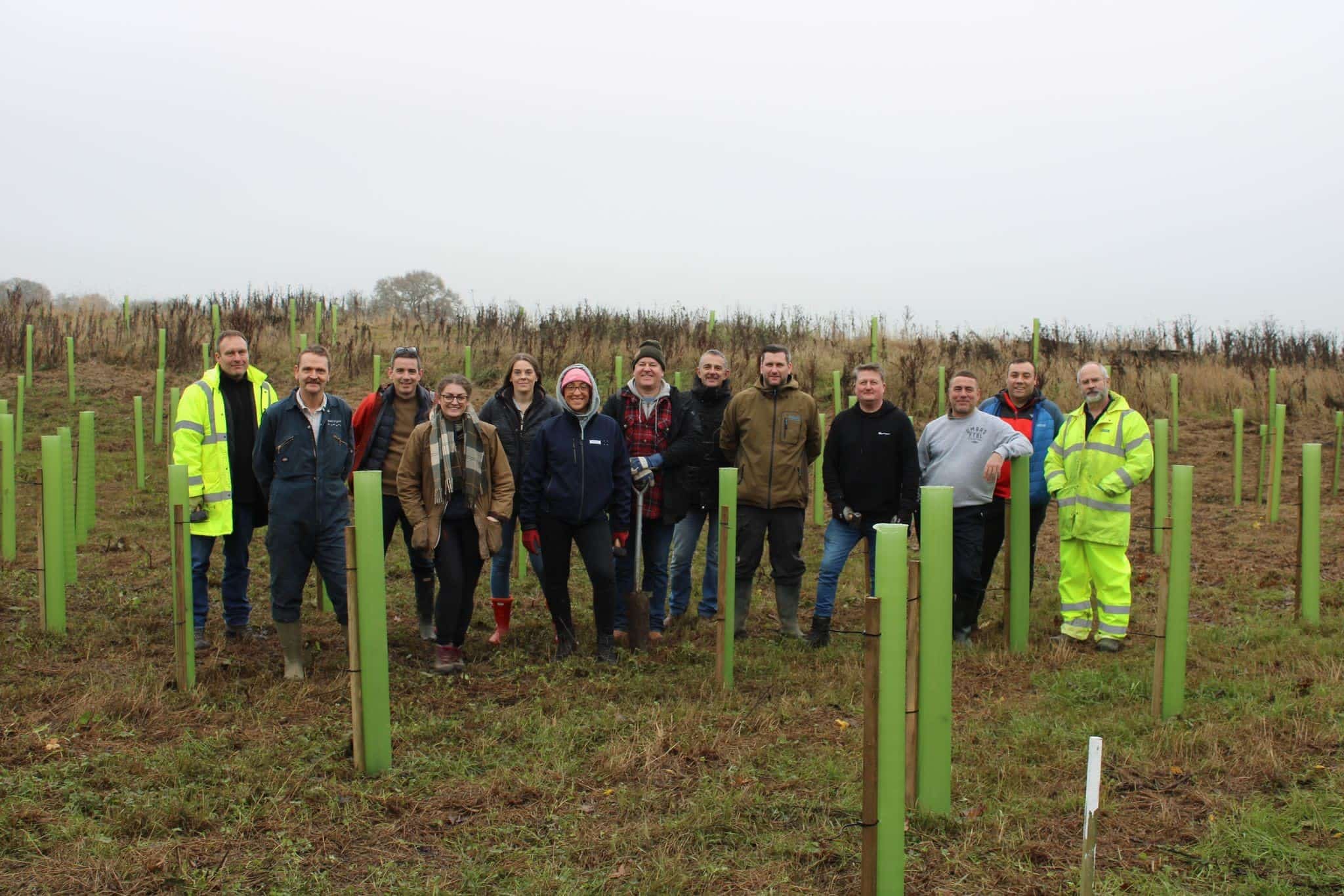 Inviron commits to planting one tree for every employee by 2025, in ...