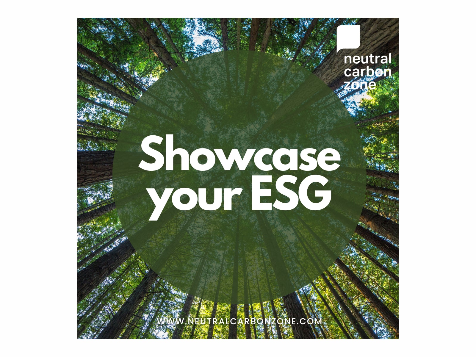 Business: a guide to demonstrating your commitment to ESG | FM Business ...