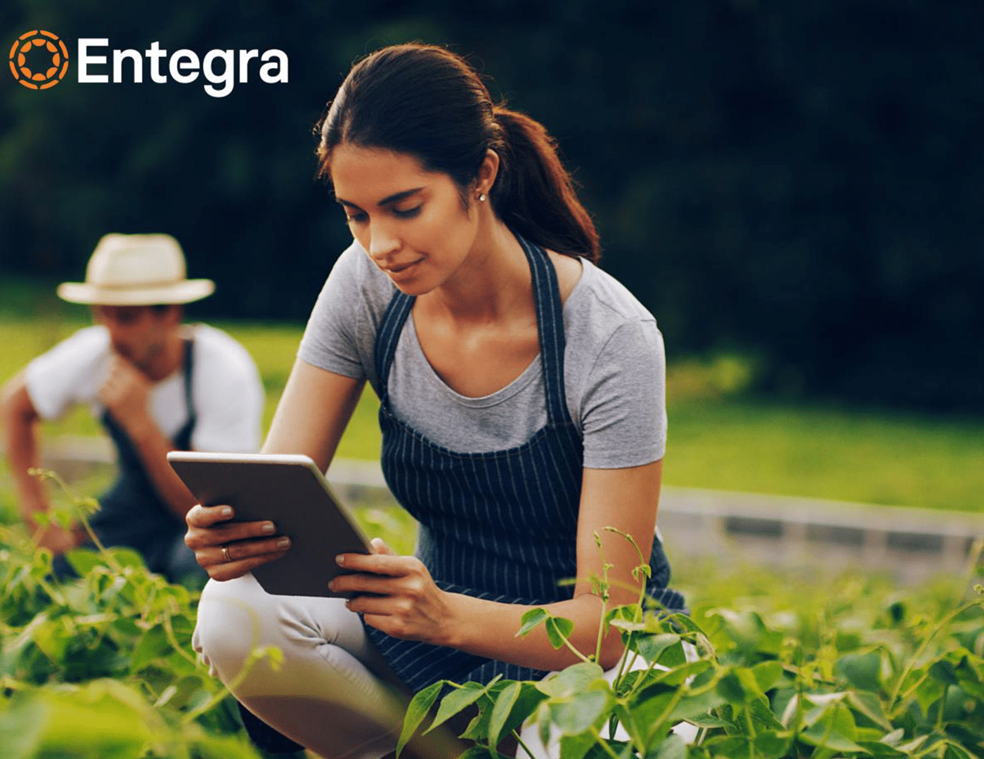 Entegra & leading hospitality giants launch Hospitality Alliance for ...