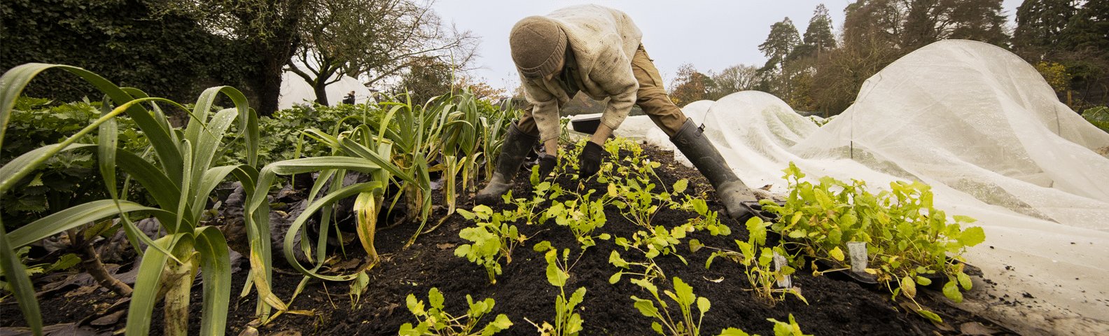 Sodexo, score A rating in CDP climate ranking | FM Business Daily News