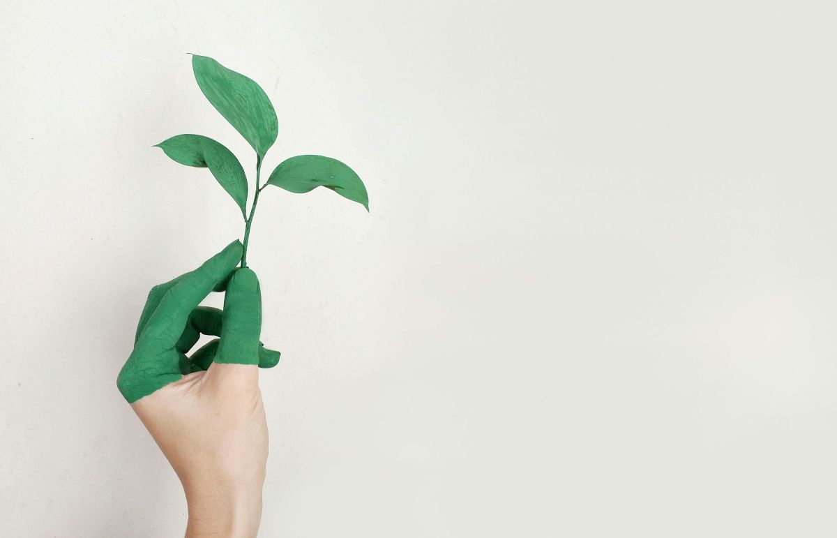 Through Better Tomorrow 2028, Sodexo Makes Sustainability a Powerful ...